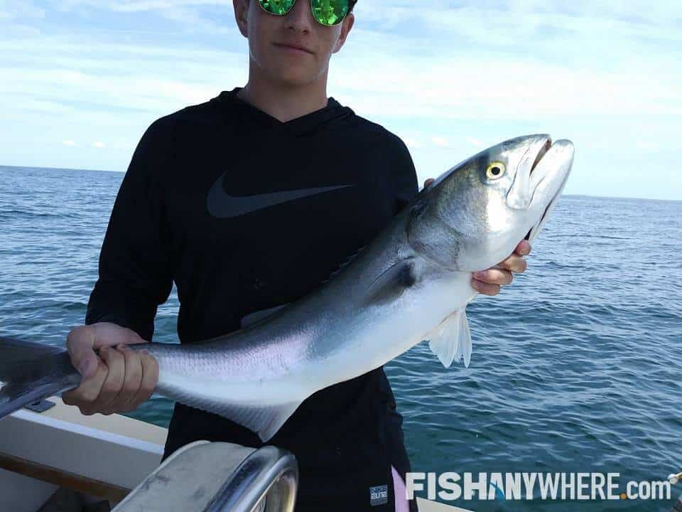 Exmore Fishing Charters & Guides | FishAnywhere