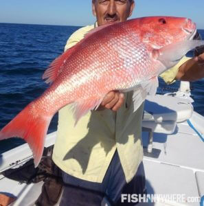 2019 Red Snapper Season | FishAnywhere