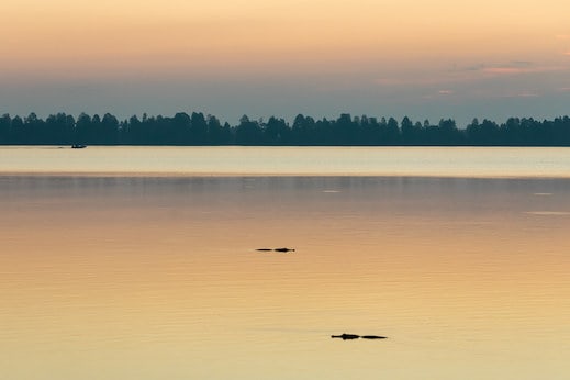 Lake Hancock Fishing Charters & Guides | FishAnywhere