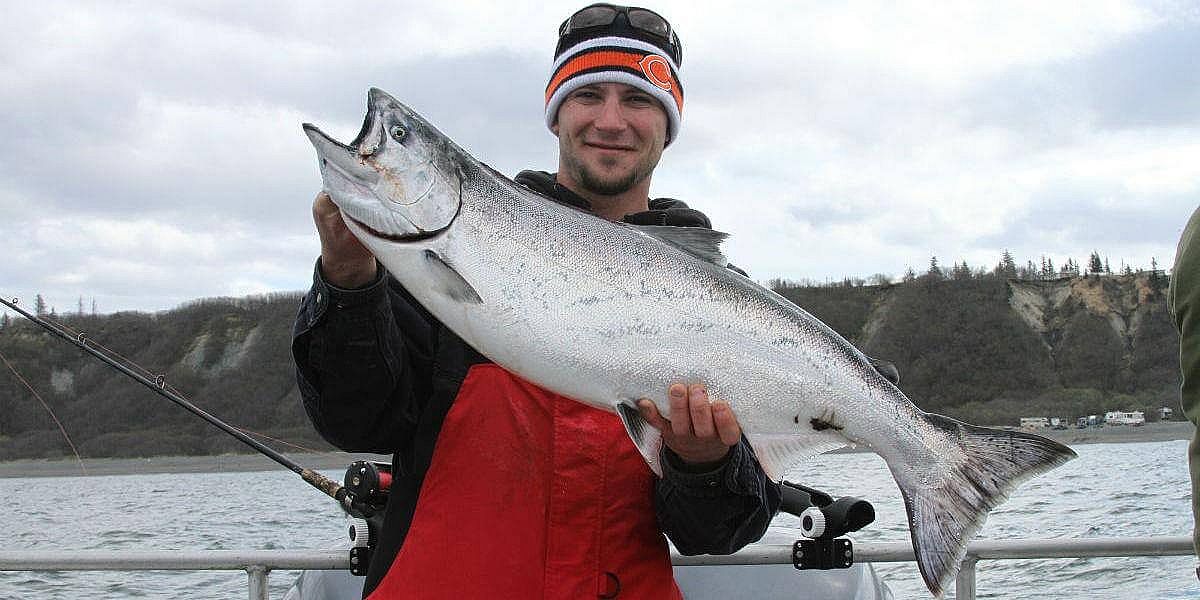 The 6 Most Common Types of Salmon | FishAnywhere