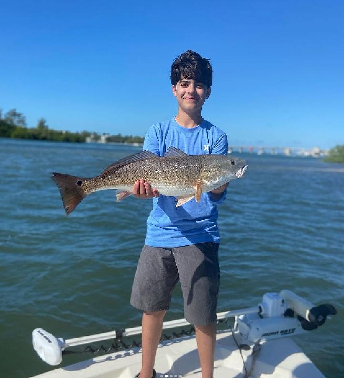 Sarasota Bay Redfish Fishing: The Angler's Guide | FishAnywhere